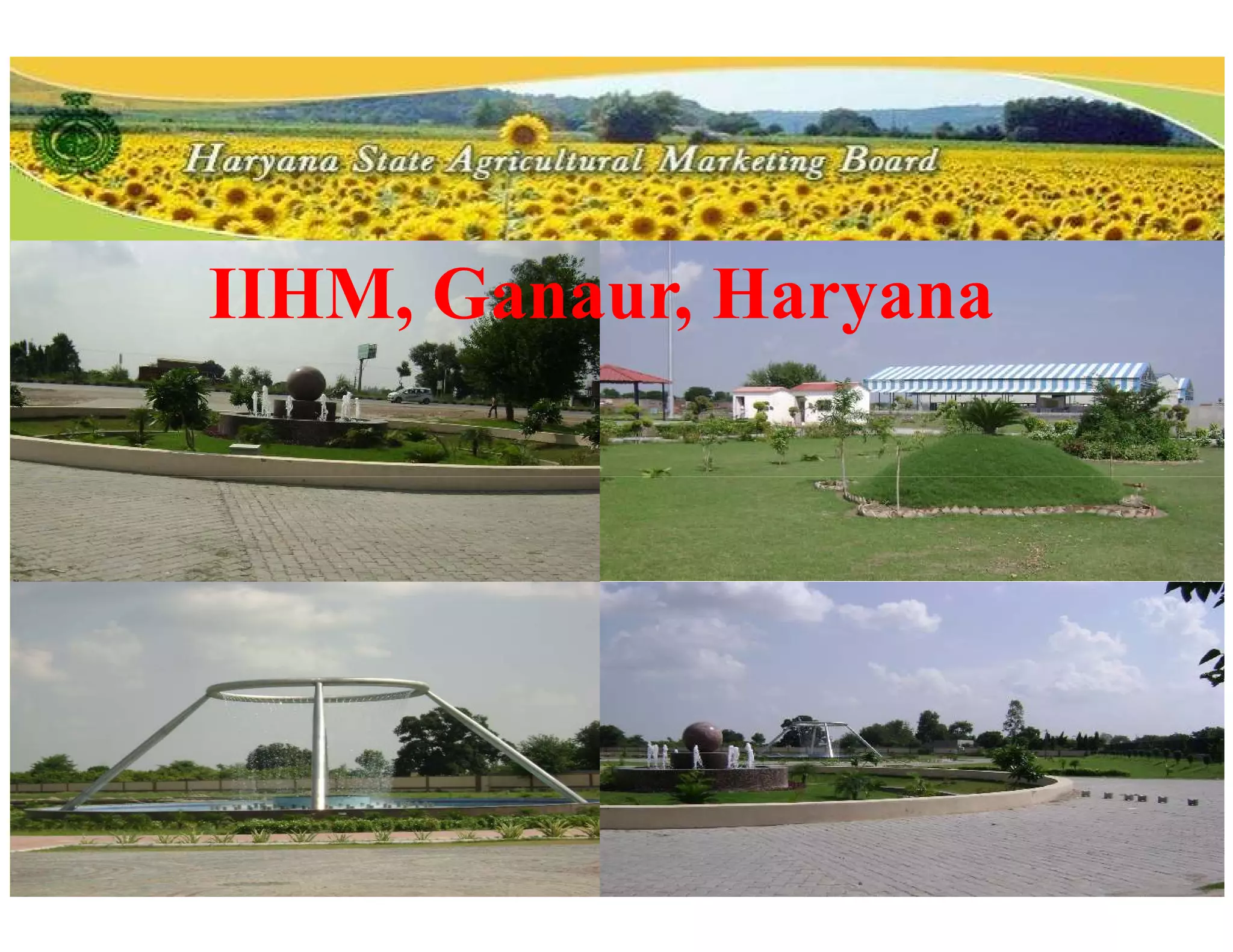 Presentation india international horticulture market | PDF