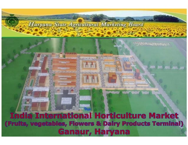 Presentation india international horticulture market | PDF ...