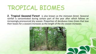 Kinds of Ecosystem.pptx