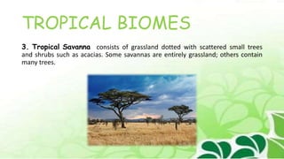 Kinds of Ecosystem.pptx