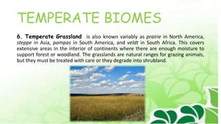 Kinds of Ecosystem.pptx