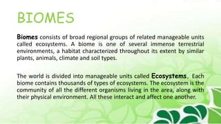Kinds of Ecosystem.pptx