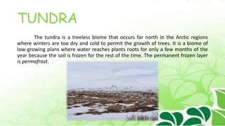 Kinds of Ecosystem.pptx