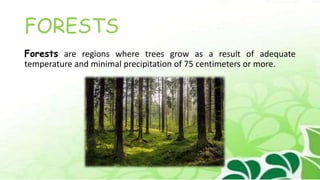 Kinds of Ecosystem.pptx