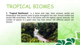 Kinds of Ecosystem.pptx