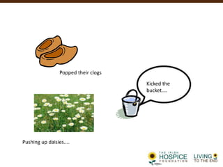 Presentation Institute of anatomical sciences | PPT