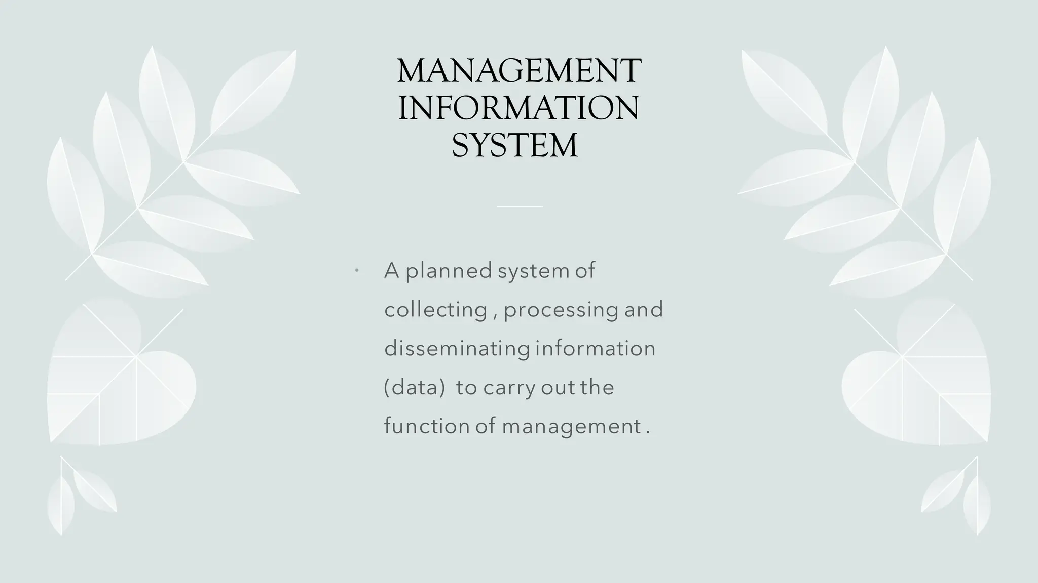 Management information system features function characteristics | PPT