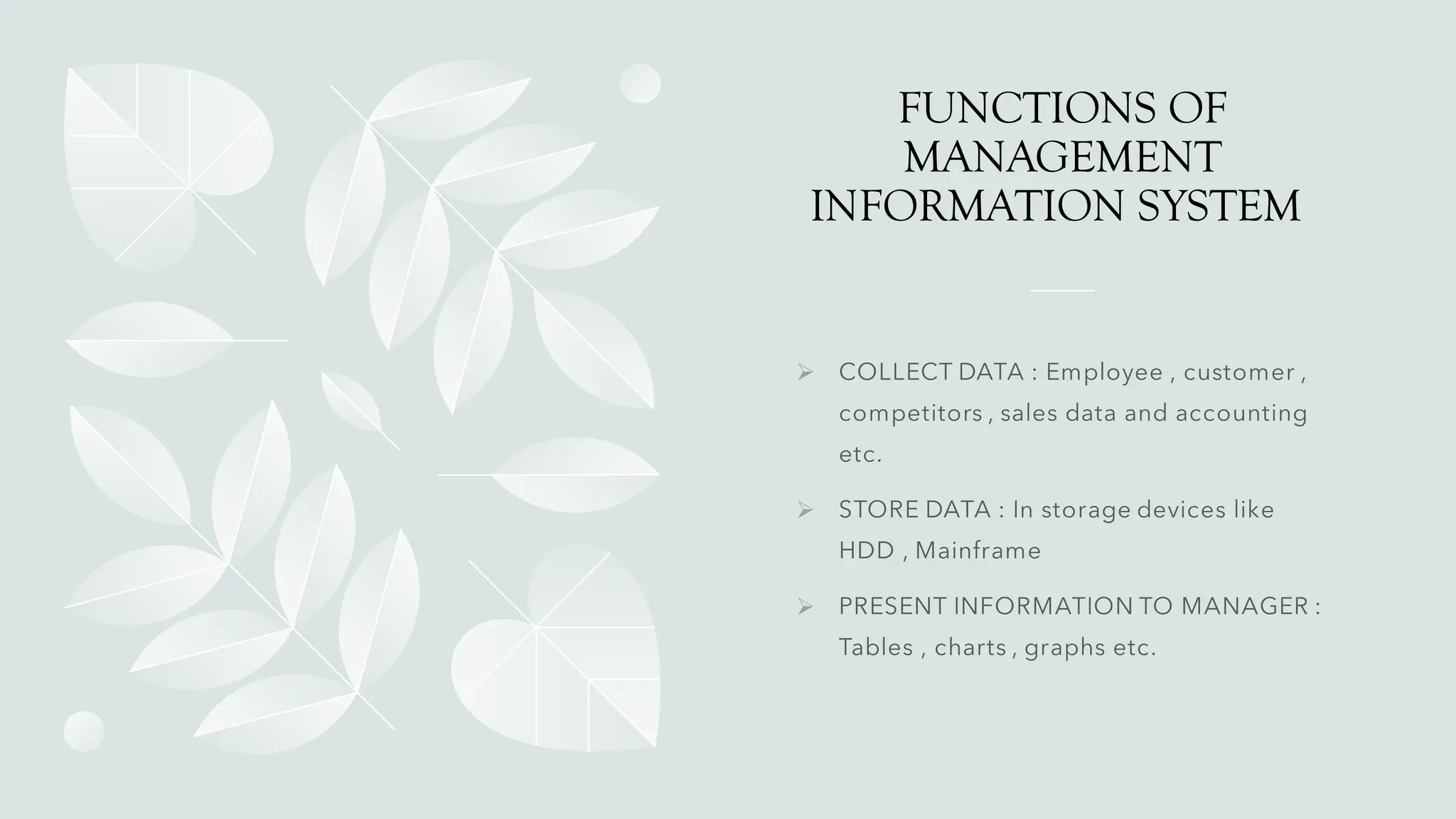 Management information system features function characteristics | PPT