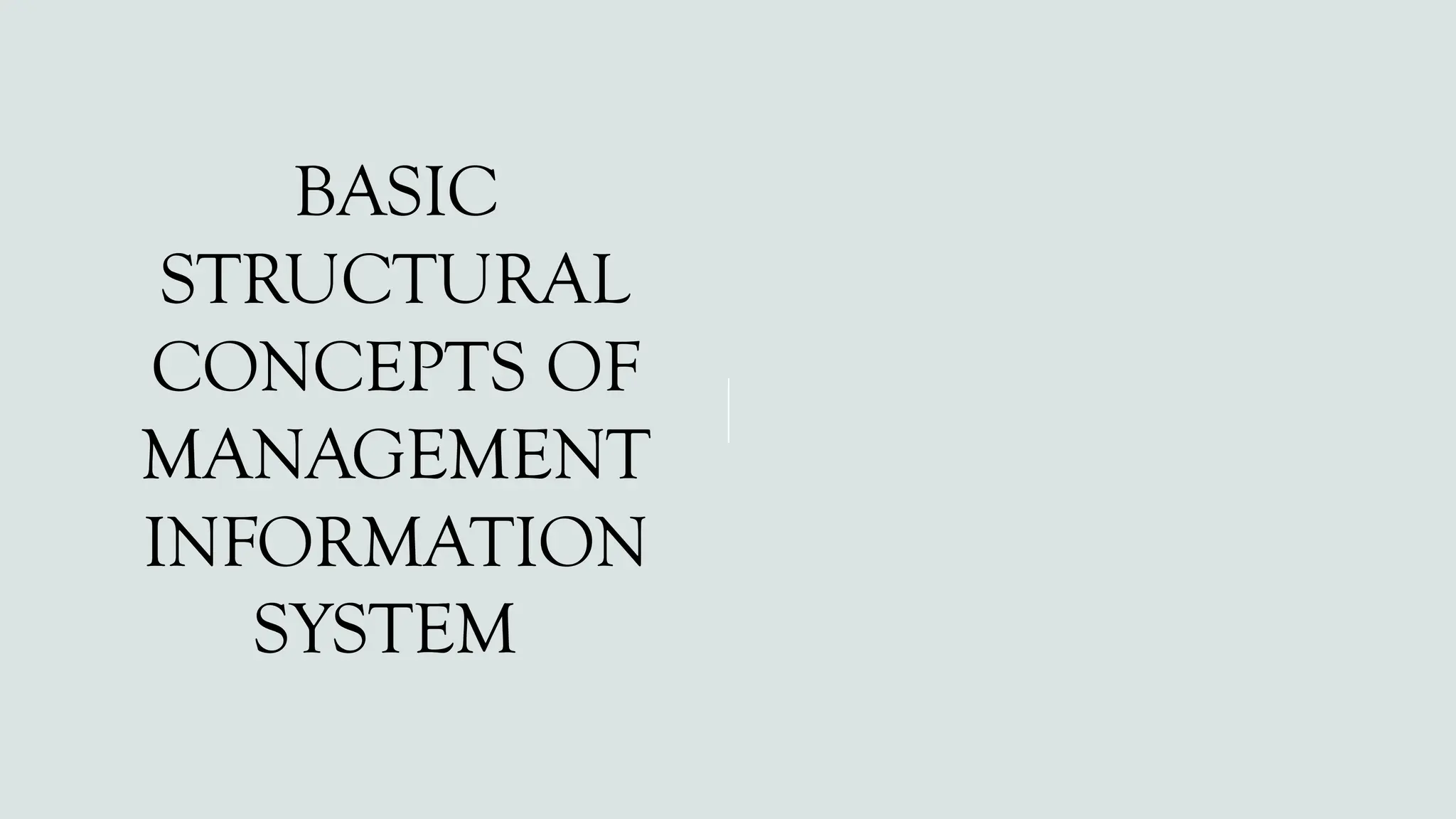 Management information system features function characteristics | PPT