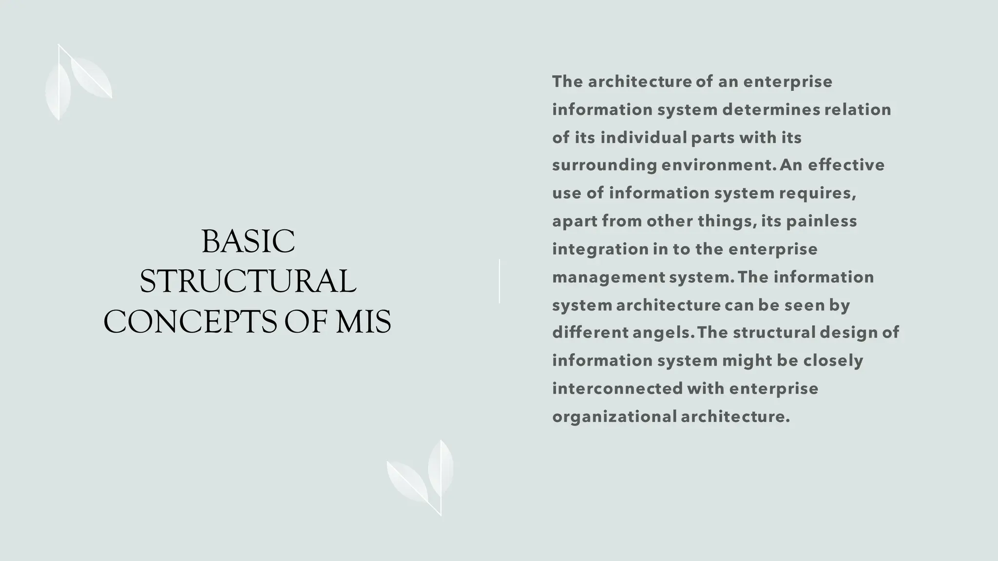 Management information system features function characteristics | PPT