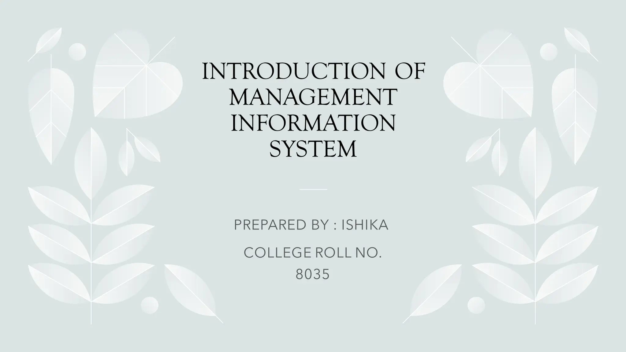 Management information system features function characteristics | PPT