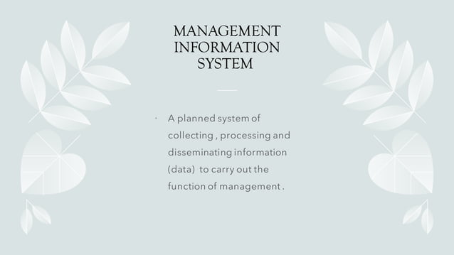 Management information system features function characteristics | PPT
