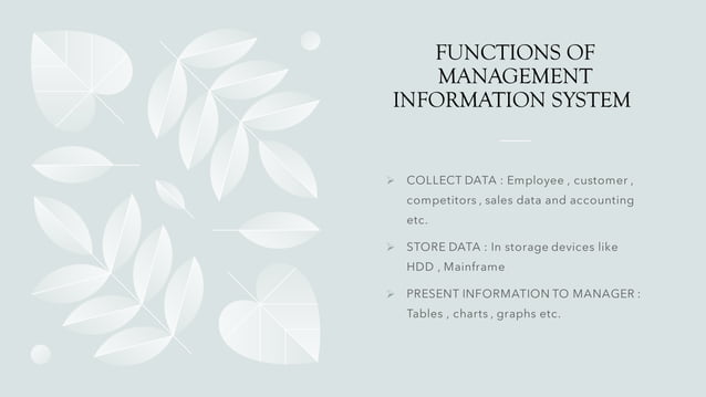 Management information system features function characteristics | PPT