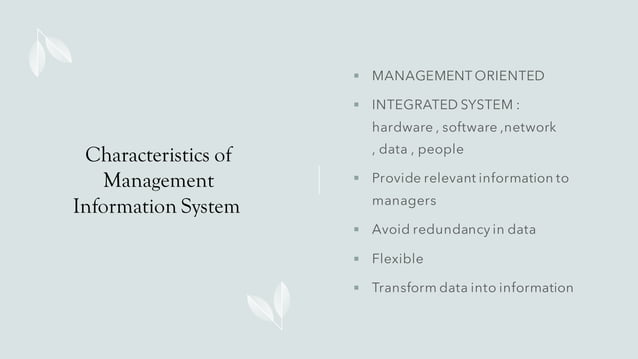 Management information system features function characteristics | PPT