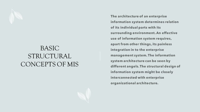 Management information system features function characteristics | PPT