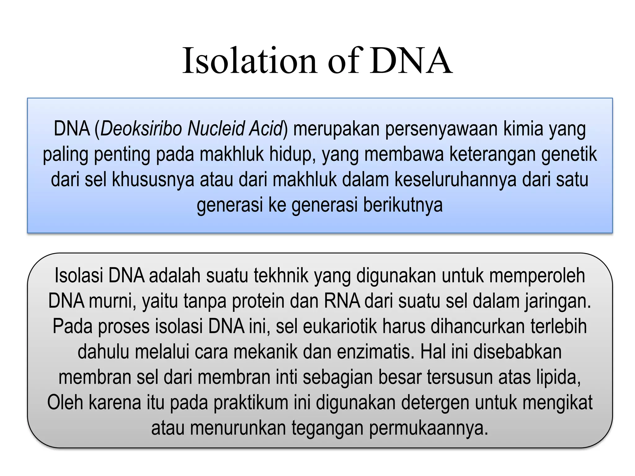 Presentation Isolasi DNA | PPTX