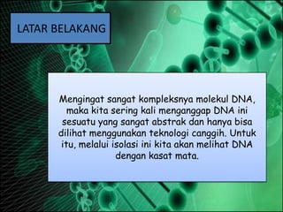 Presentation Isolasi DNA | PPTX