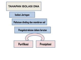 Presentation Isolasi DNA | PPTX