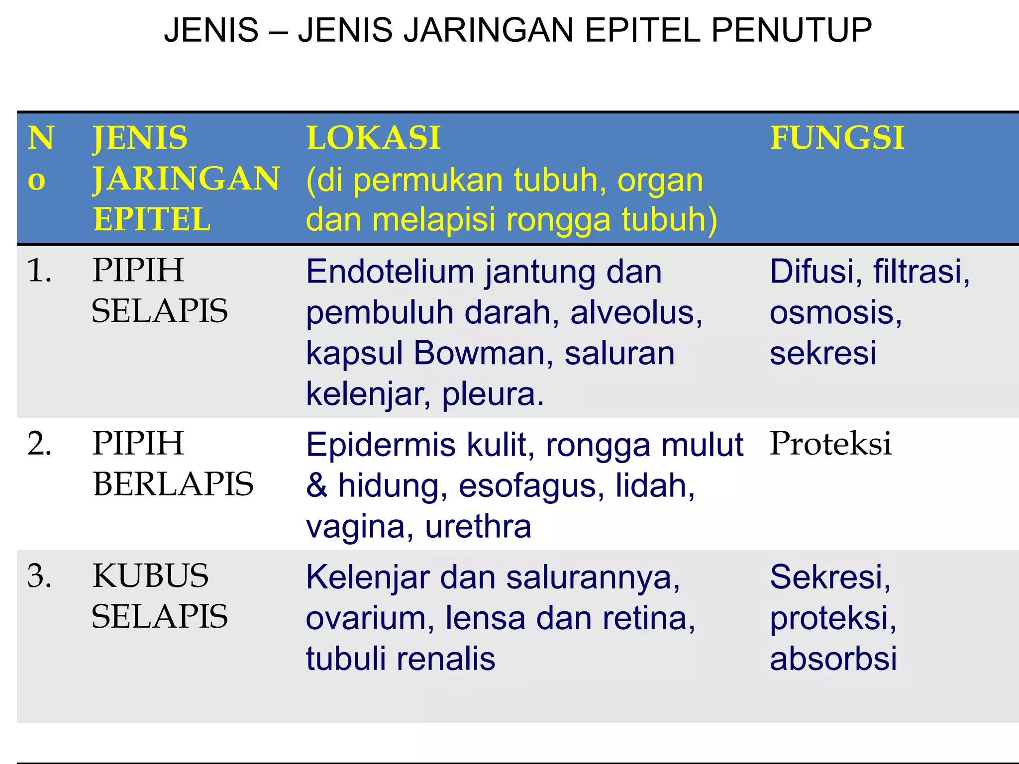 Presentation jaringan epitel & jaringan ikat | PPTX