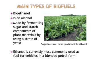 An introduction on Biofuel | PPTX | Food & Drink