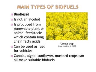 An introduction on Biofuel | PPTX | Food & Drink