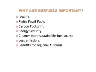 An introduction on Biofuel | PPTX | Food & Drink