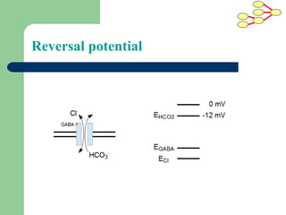 Electrophysiology, modelling and electronics | PPT