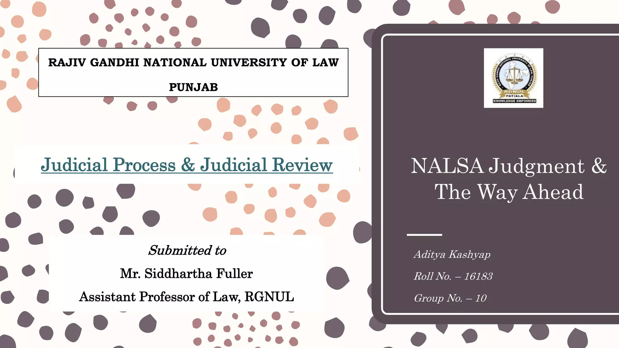 NALSA Judgment & The Way Ahead | PPT