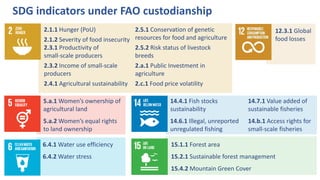 Tracking Sustainable Development Goals on the road to 2030 – 159th ...