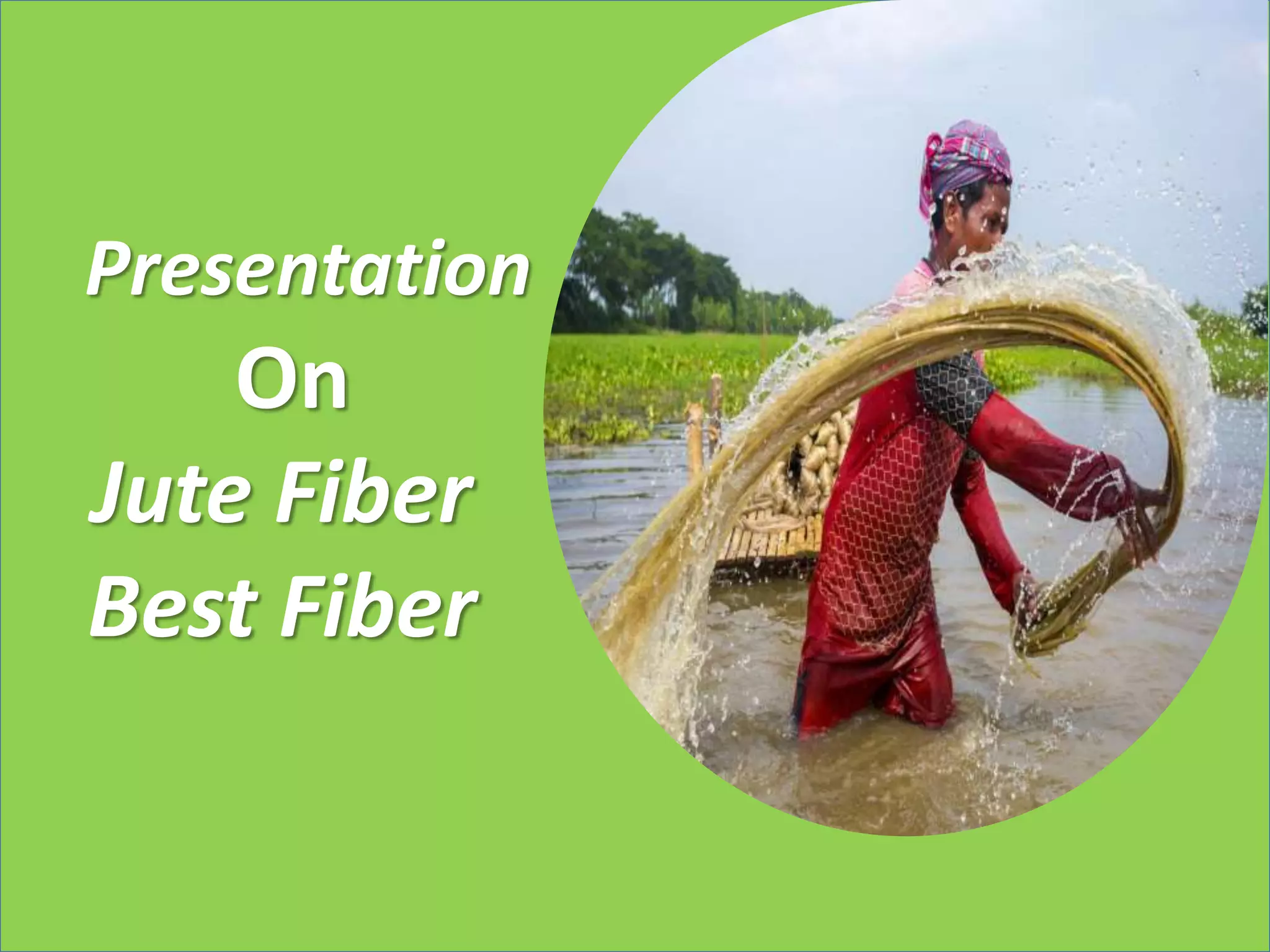 jute in Bangladesh | PPTX