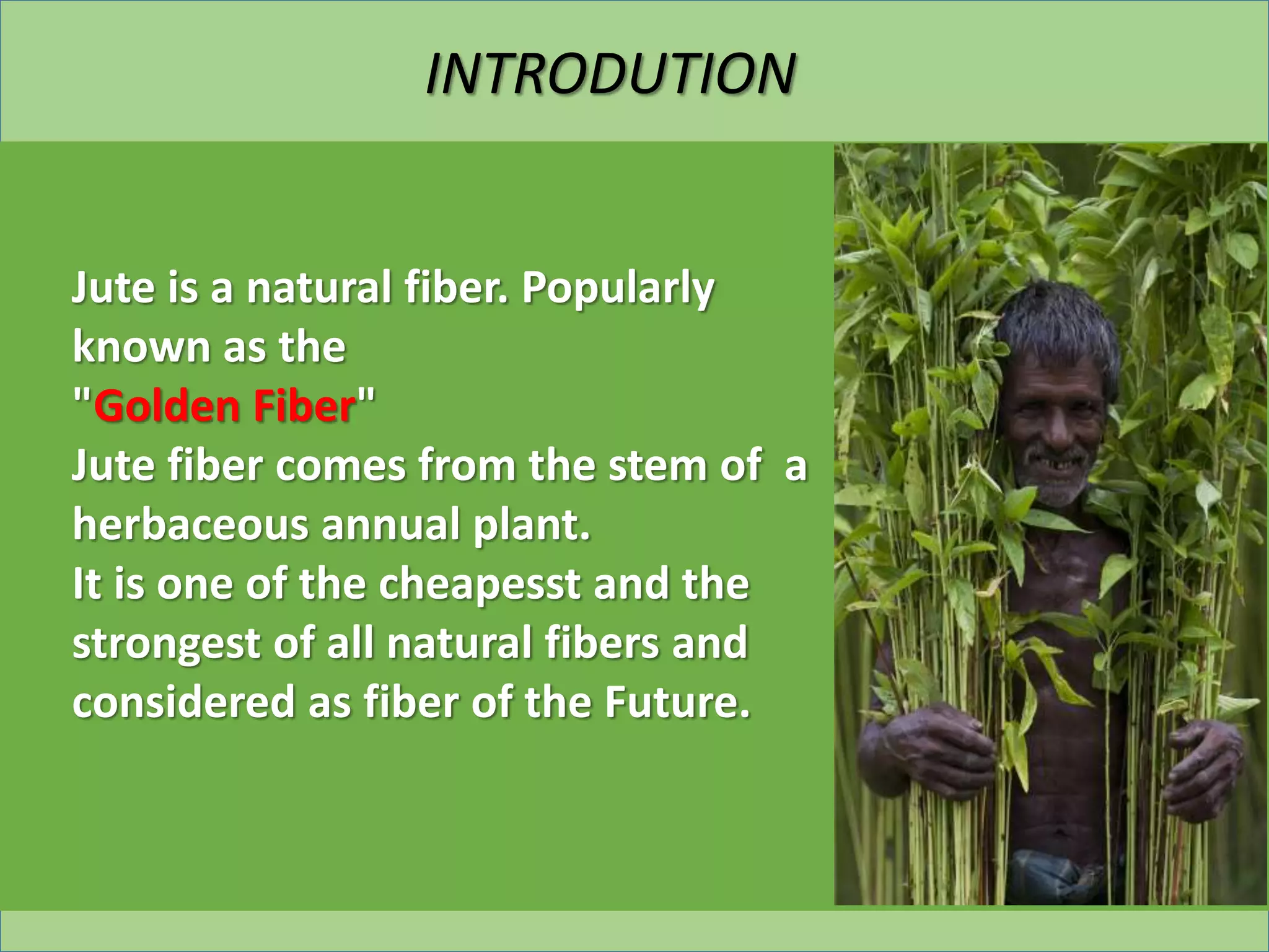 jute in Bangladesh | PPTX