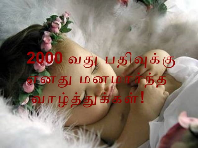 Presentation Kavi | PPT