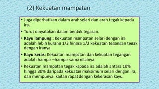 Kayu | PPTX