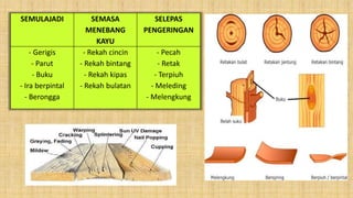 Kayu | PPT