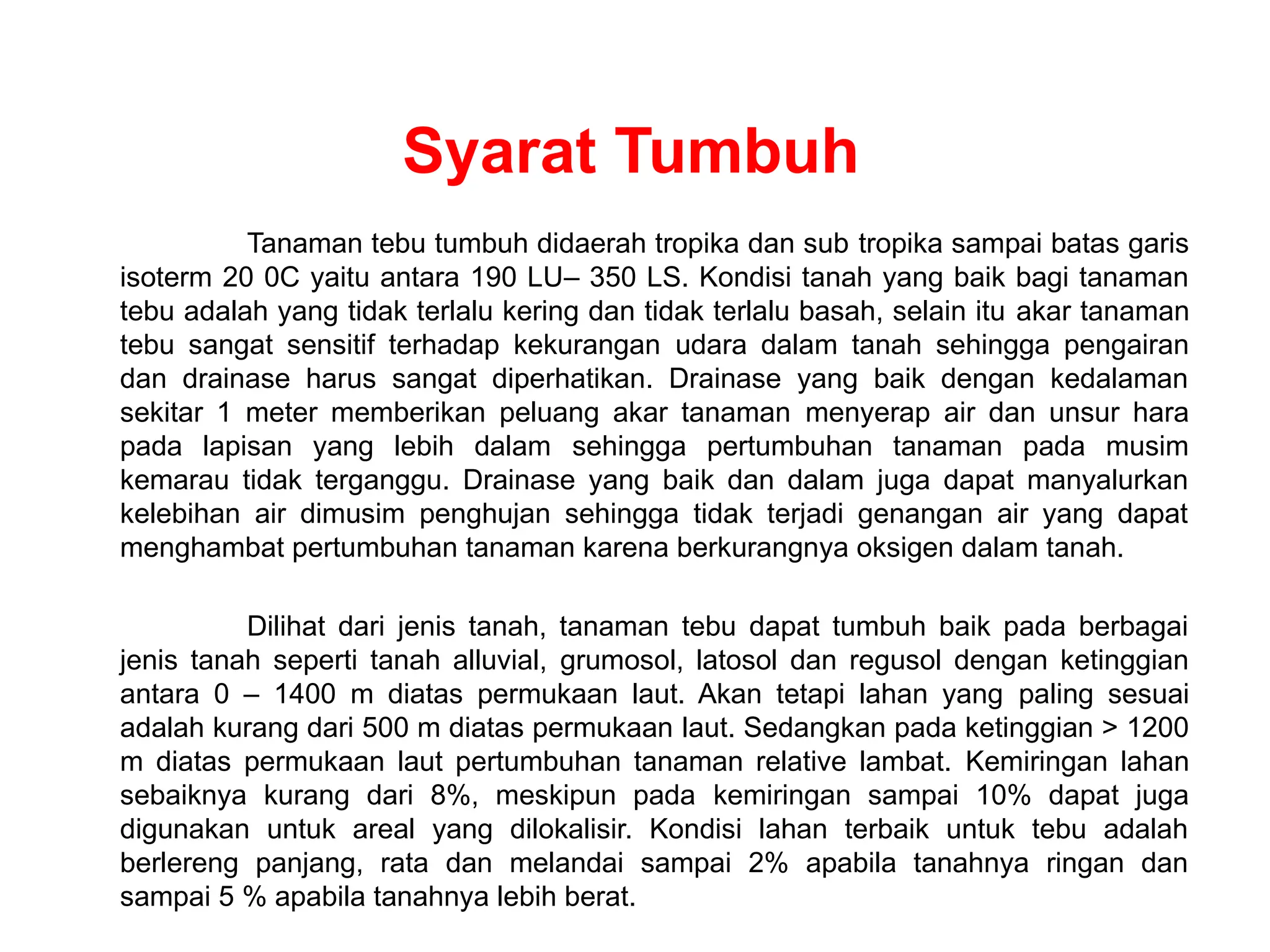 BUDIDAYA TANAMAN TEBU Tanaman tebu tumbuh | PPTX