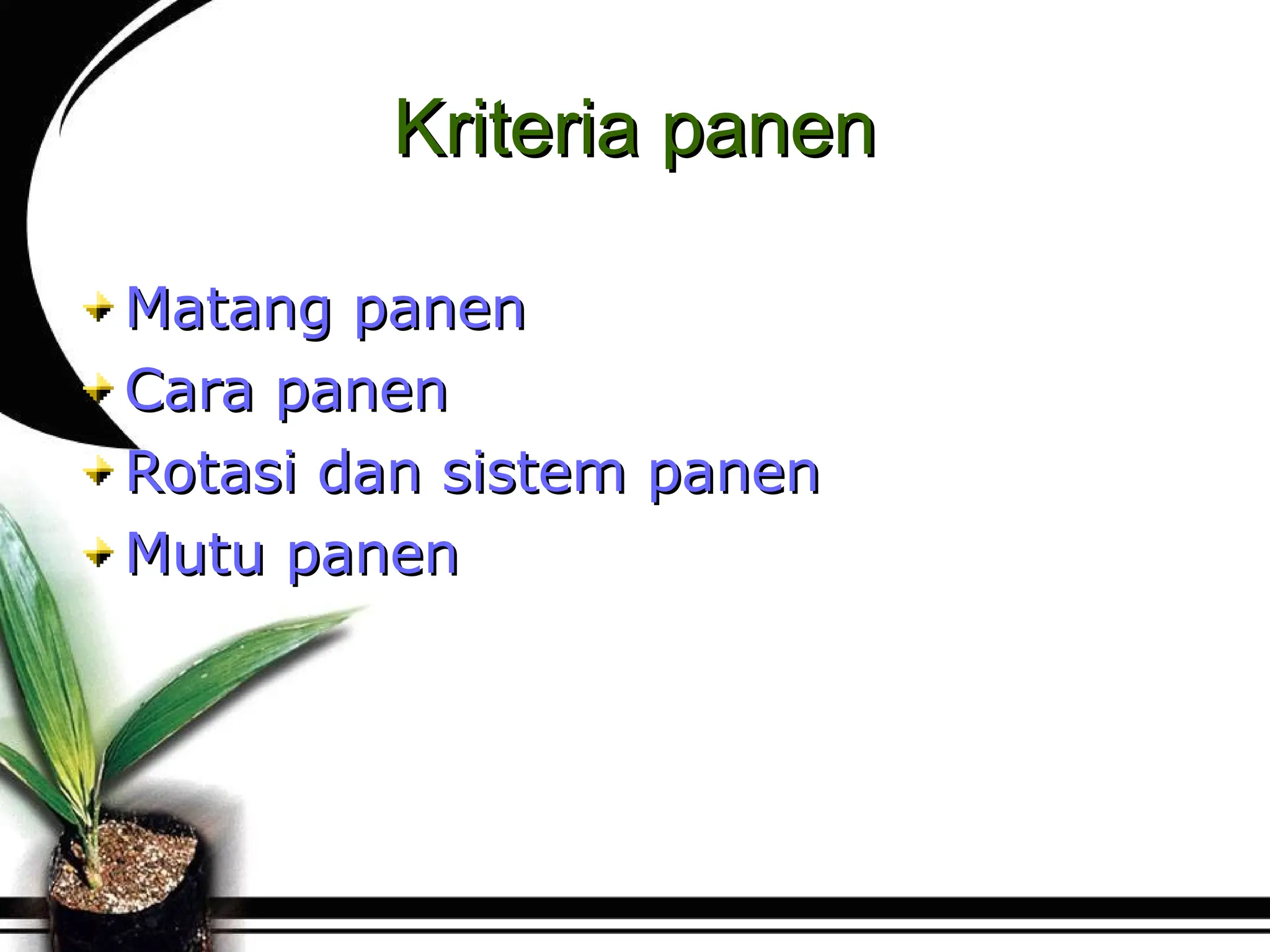 Budidaya KELAPA SAWIT Tanaman kelapa sawit berdasarkan ketebalan ...
