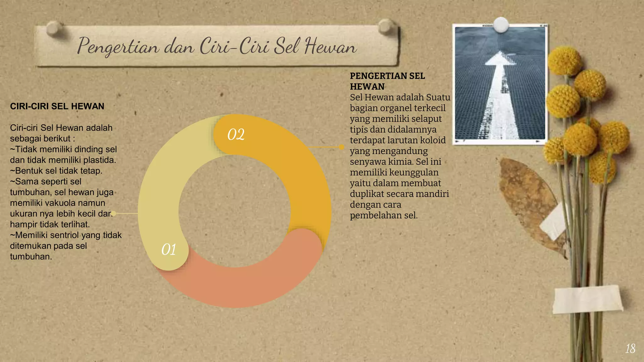 presentation kel 2 ttg sel.pptx | Free Download