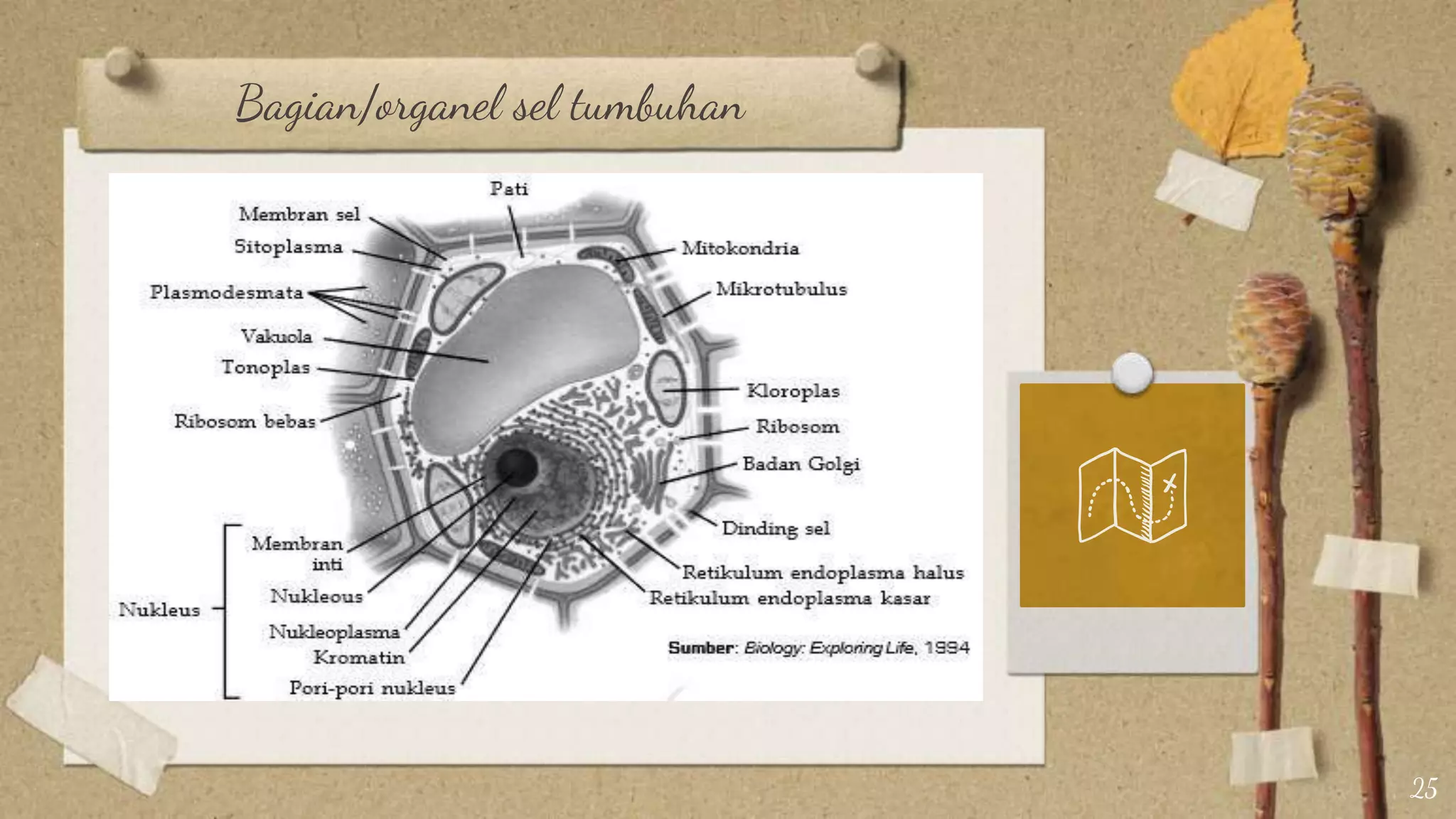 presentation kel 2 ttg sel.pptx