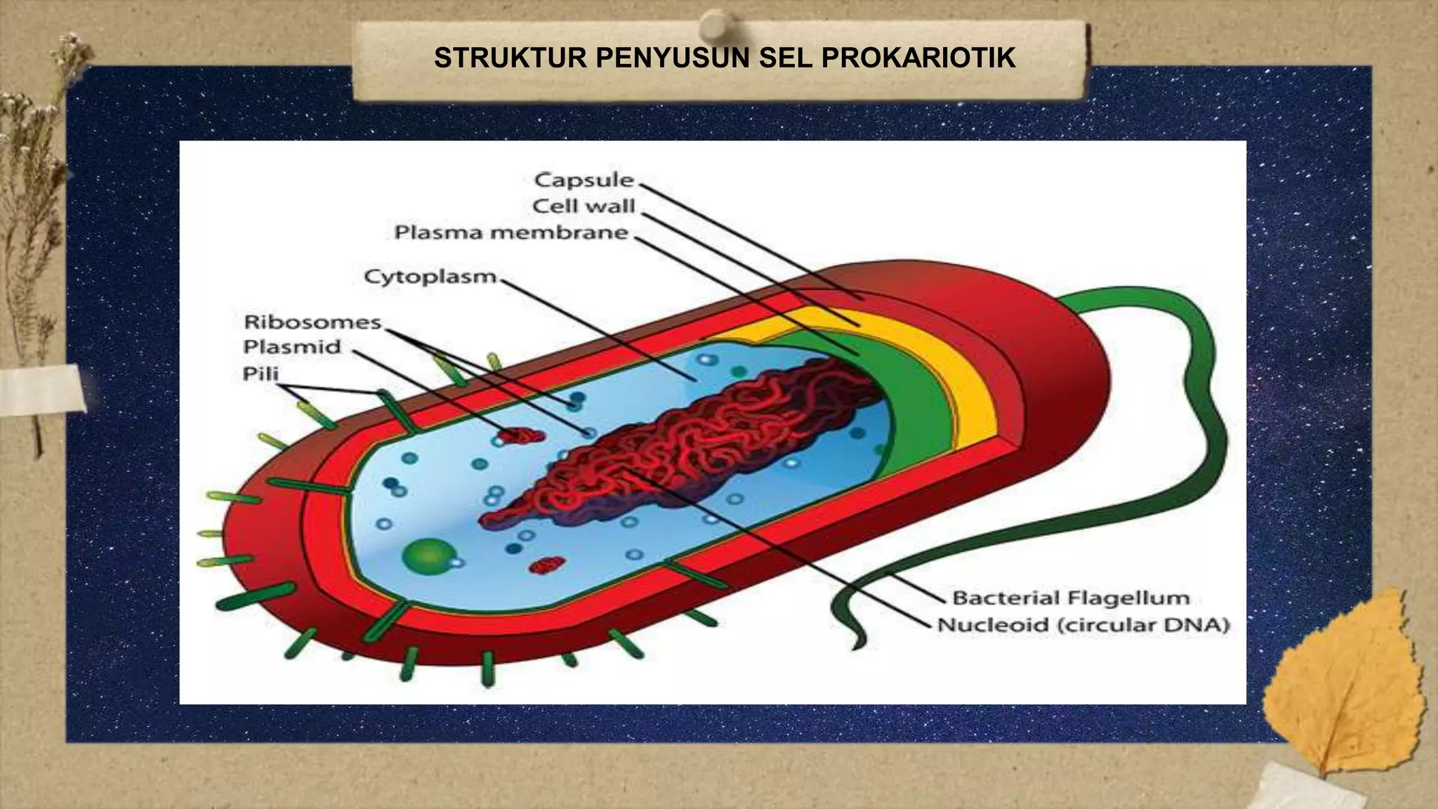 presentation kel 2 ttg sel.pptx | Free Download
