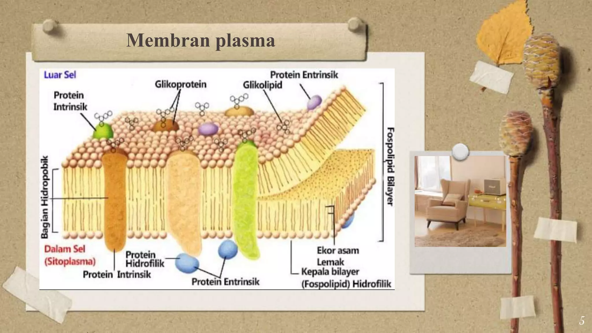 presentation kel 2 ttg sel.pptx