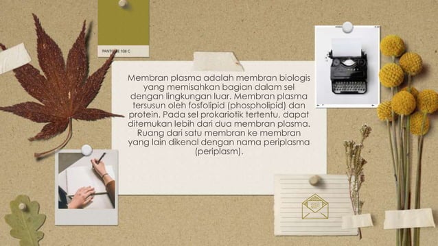 presentation kel 2 ttg sel.pptx