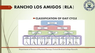 kinesiology ii.pptx | Walking | Sports