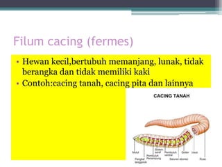 Presentation kingdom animalila kelompok 1 | PPTX
