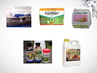 kelas & cara pengendalian racun perosak | PPT