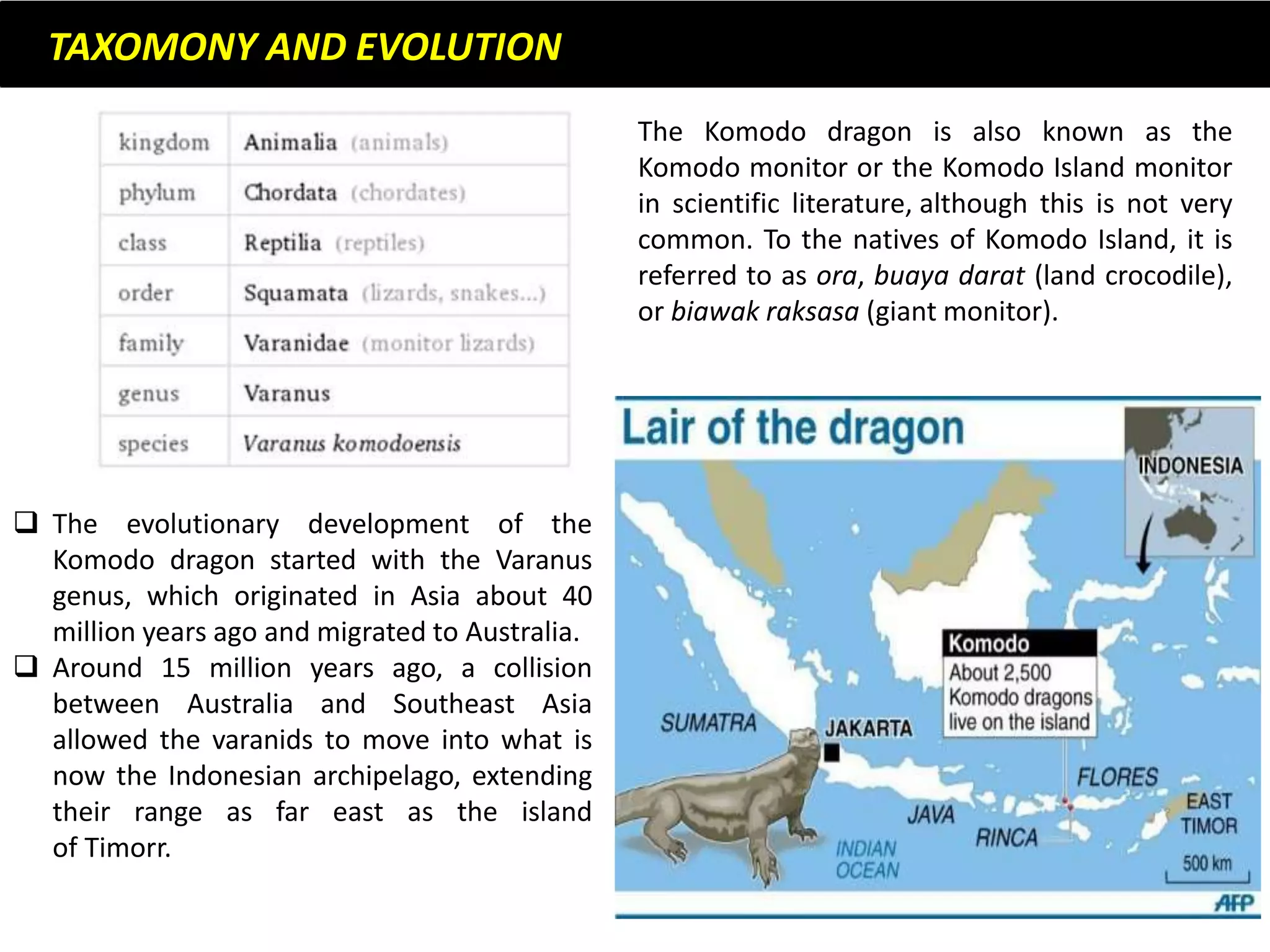 Presentation komodo | PPTX