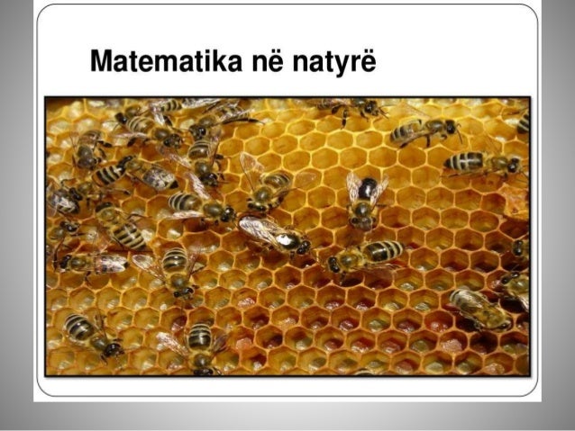 Presentation kubi, kuboidi,prizmi