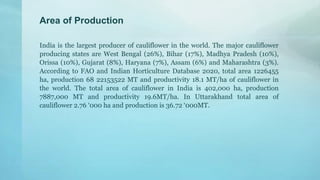 Cauliflower production in vaishali Bihar, village chakwara | PPTX | Agriculture | Industries