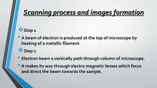 Scanning Electron Microscopy | PPT