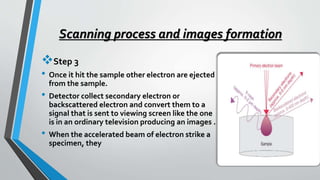 Scanning Electron Microscopy | PPT