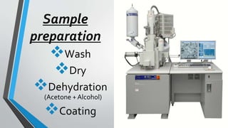 Scanning Electron Microscopy | PPT